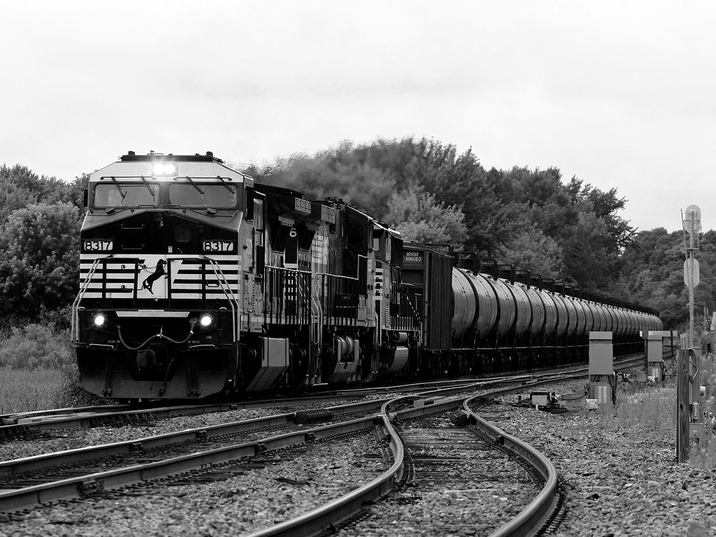 NS 8317